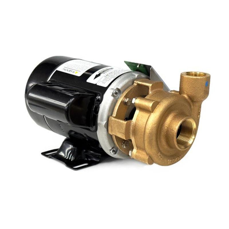 SCOT PUMP – 35067-2 1/3 HP 1/50/60HZ 1.25 x 1 NPT – Climax Marine Services
